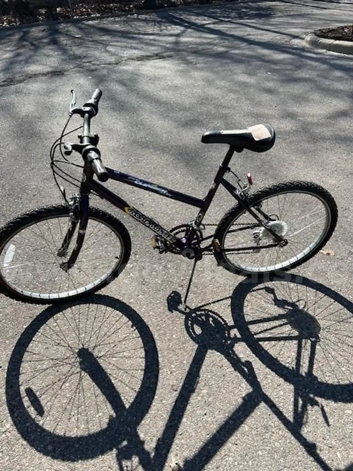 Women’s Roadmaster Bike | GovDeals