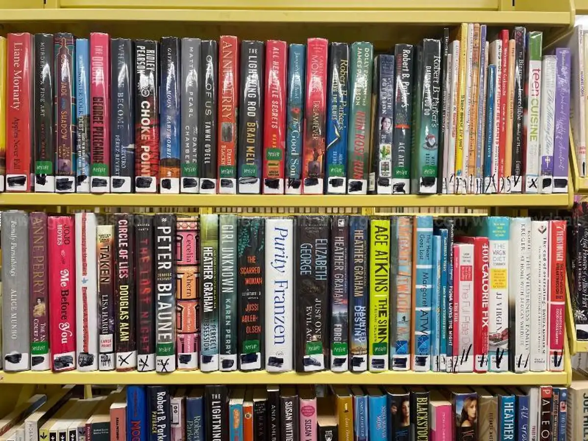 LIBRARY BOOKS, CD'S, PUZZLES, DVD'S | AllSurplus