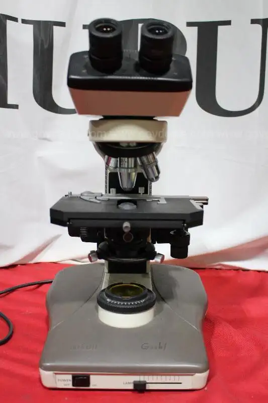 Nikon Labophot-2 Binocular Microscope | AllSurplus