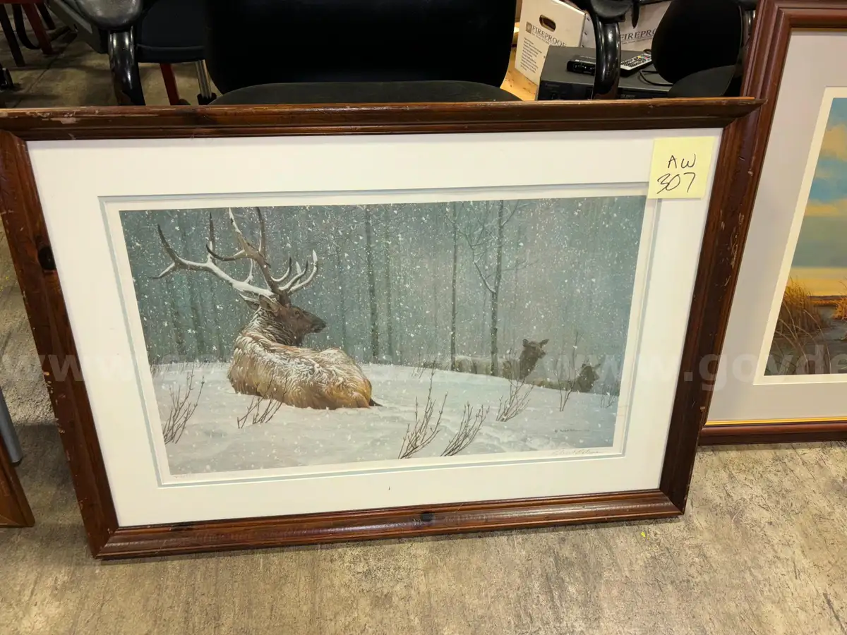 Framed Edge of the Woods Whitetail Deer by Robert Bateman 416 of 950 ...