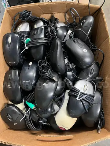 COMPUTER MICE | AllSurplus