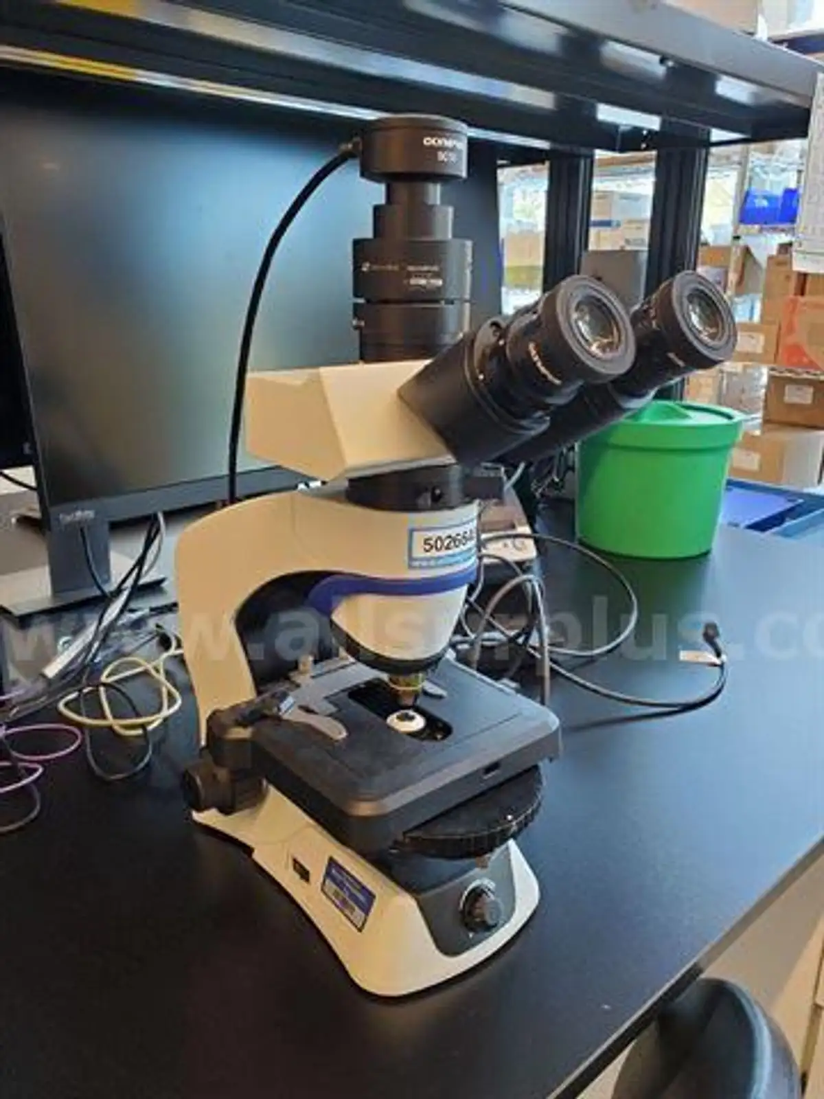 Olympus CX43RF Video Microscope | AllSurplus