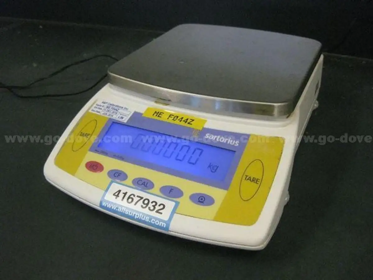 Sartorius CP2202S Laboratory Balance | AllSurplus