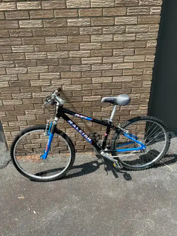 Raleigh Bicycle | GovDeals