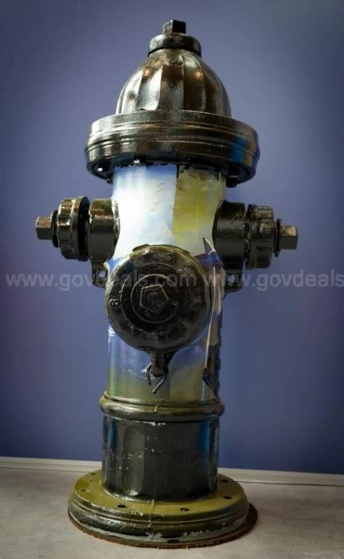 Hand Painted Fire Hydrant for Charity | AllSurplus