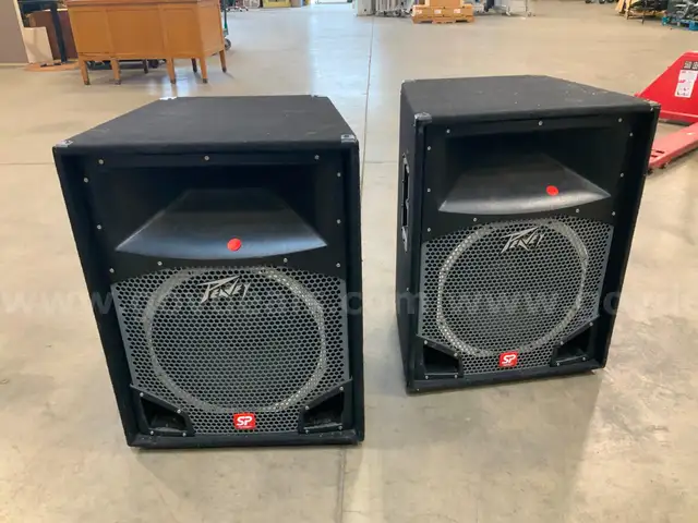 2 Peavey Speakers | GovDeals