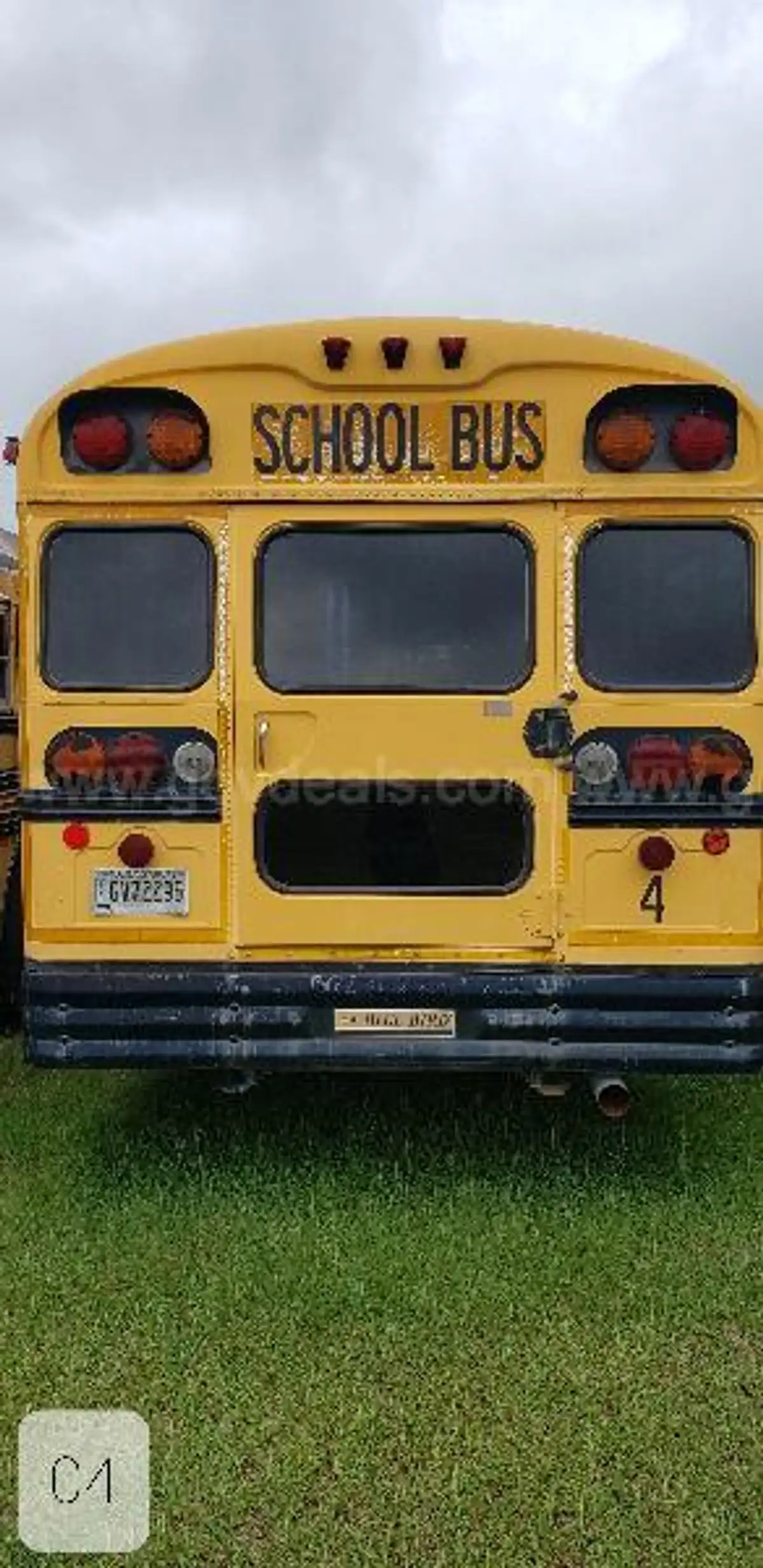 2000 Navistar Bluebird Handicap Bus | AllSurplus