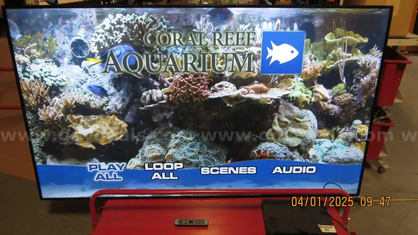 NEC Multisync C981Q 98" Ultra High Definition Commercial Display | GovDeals