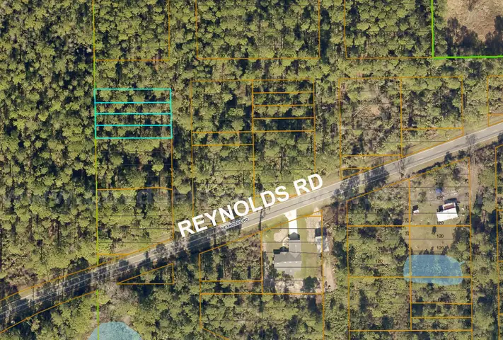 De Leon Springs, Florida - 4 Adjoining Residential Lots | GovDeals