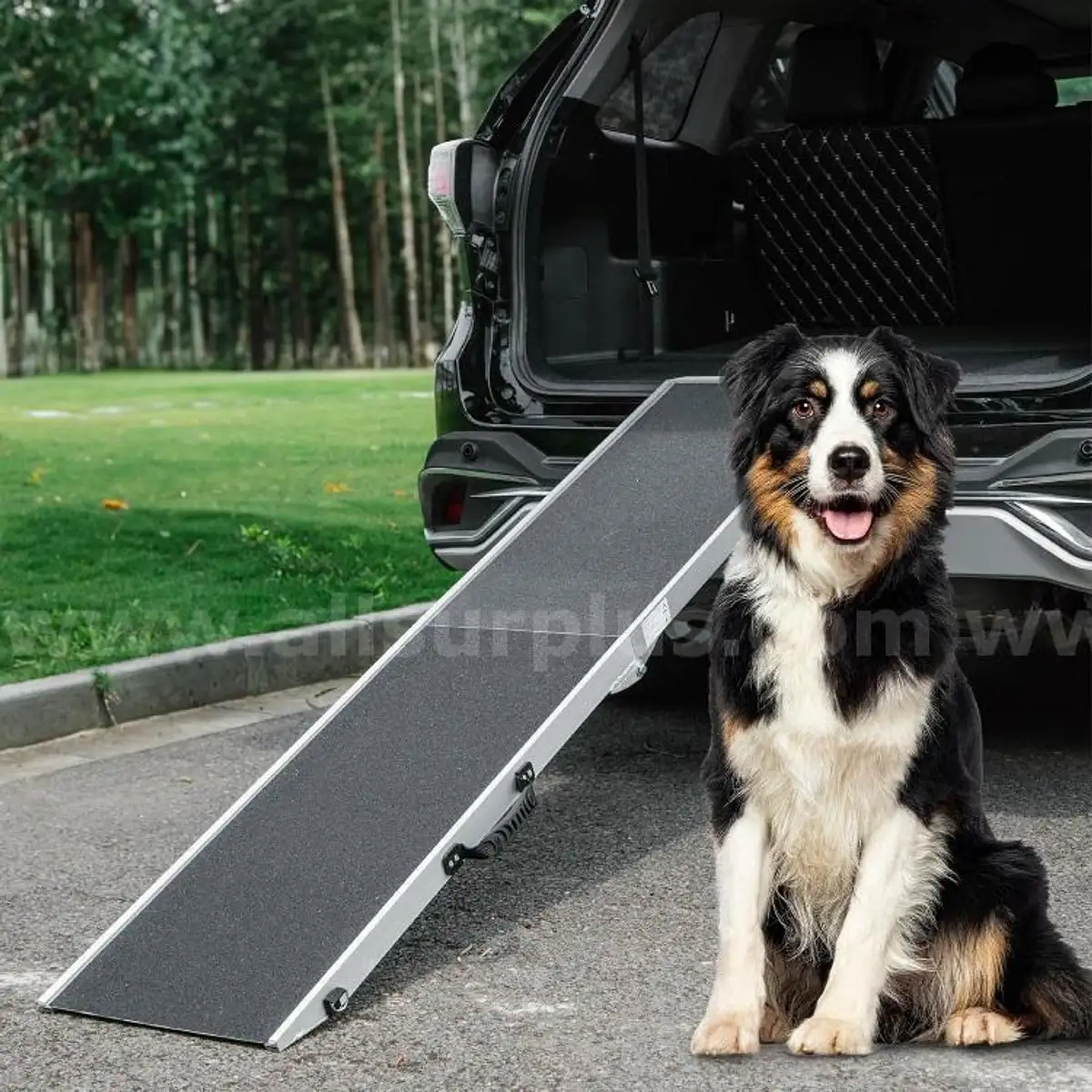 Panther Armor Folding Pet Ramp for Large Dogs | AllSurplus | Pittston