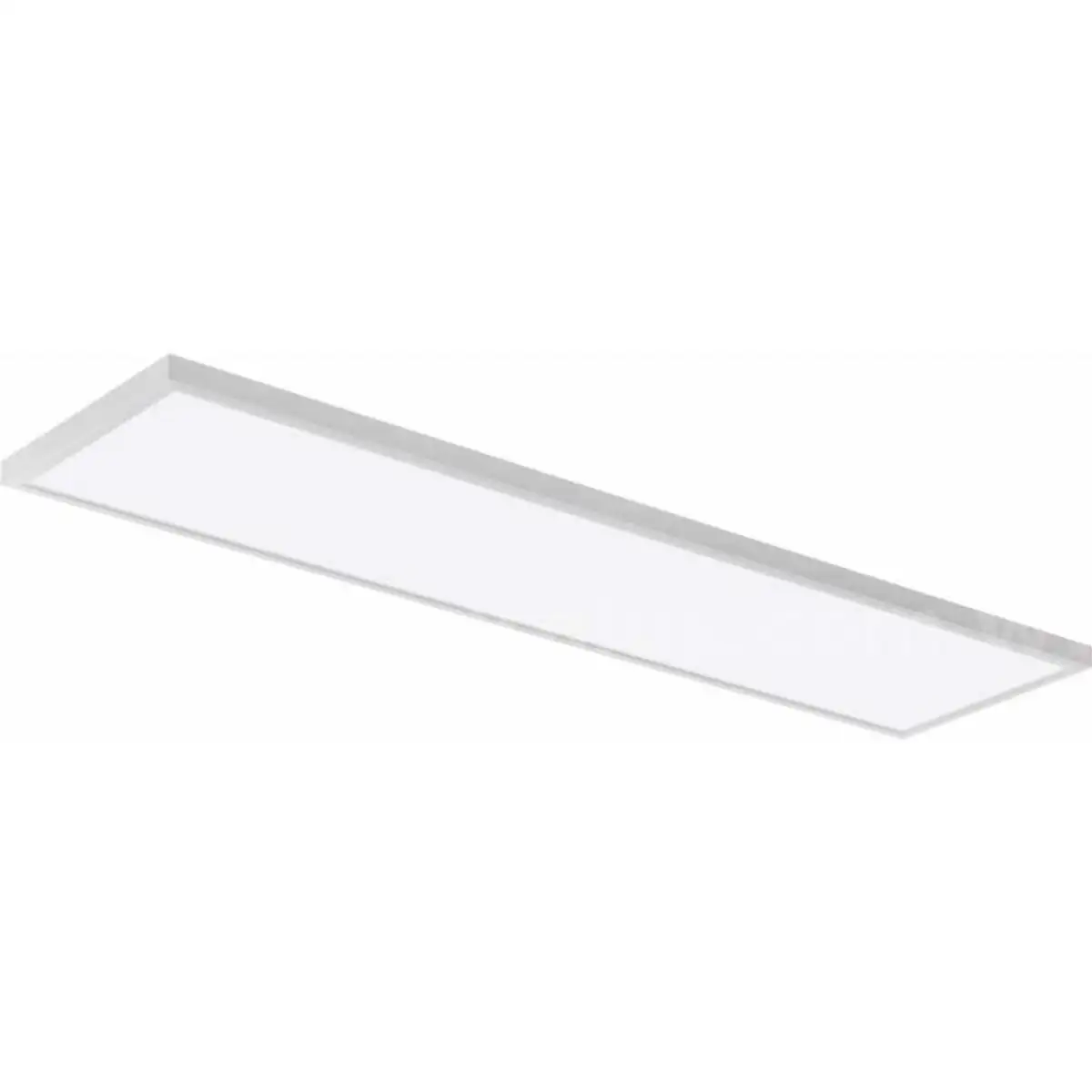 Lithonia Lighting 2x4 LED Flat Panel Light | AllSurplus | Pittston
