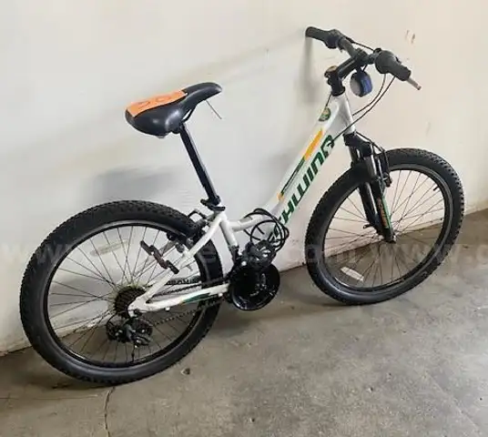 Schwinn Special Edition Lebron James Foundation Bike | GovDeals