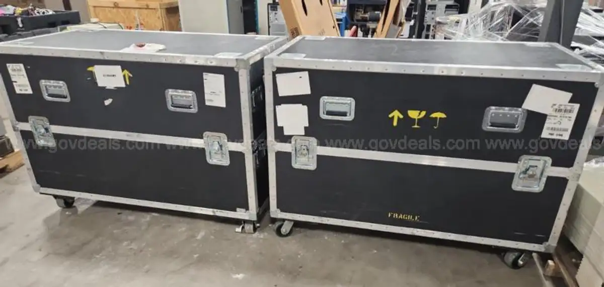 Cases (Qty 2) | AllSurplus