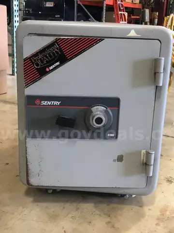 Sentry Safe | AllSurplus