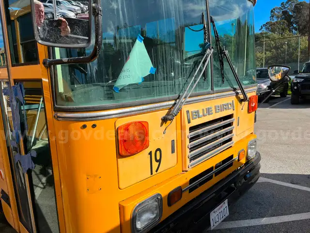 1996 BLUEBIRD SCHOOL BUS #19 | GovDeals