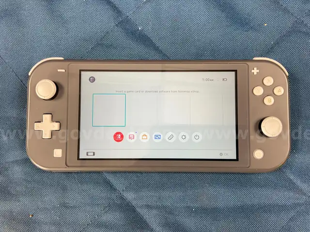 Nintendo Switch Lite, Model: HDH-001 (Powers On) | GovDeals