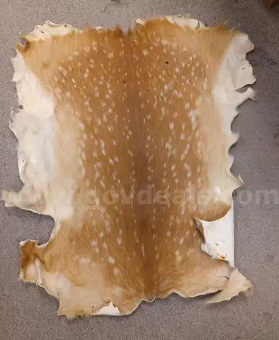 Tanned Deer Hides | GovDeals